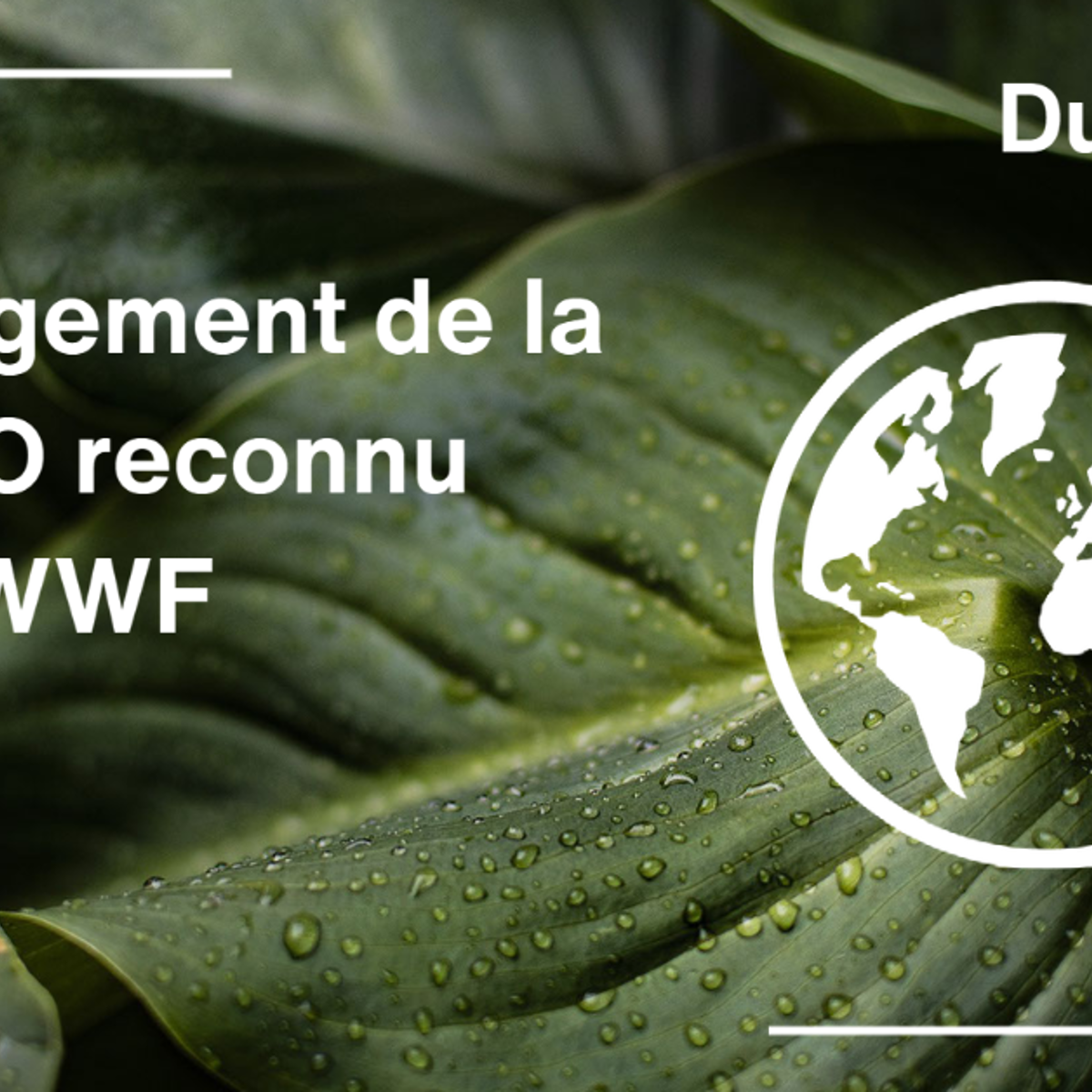 La HES-SO récompensée par le WWF pour son engagement | HEG-FR